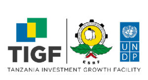 Tanzania Investment Summit 2026 - TIGF